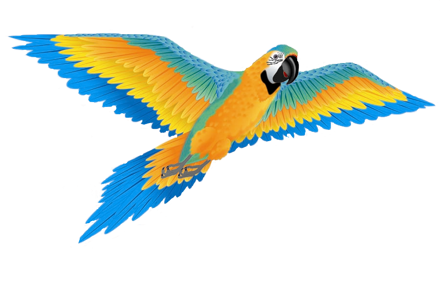 Birds – Magic Kites and Toys