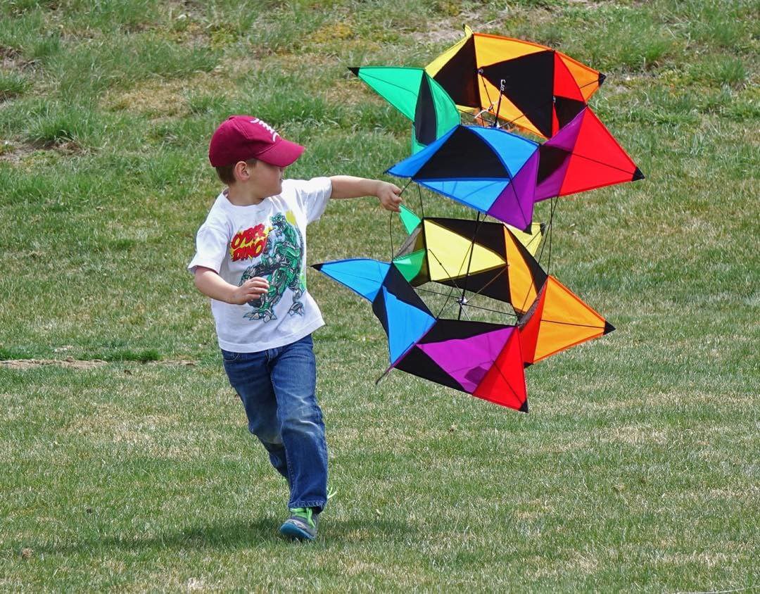 Cellular Kites – Magic Kites and Toys