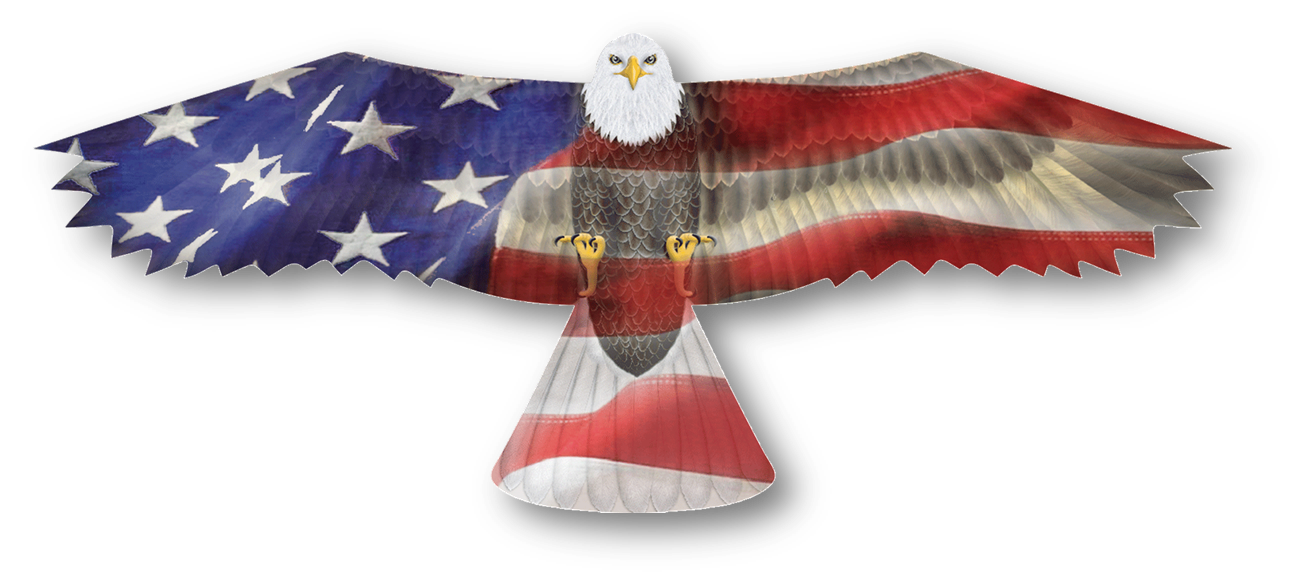 72 Inch Winspac Nylon USA Eagle Kite – Magic Kites and Toys